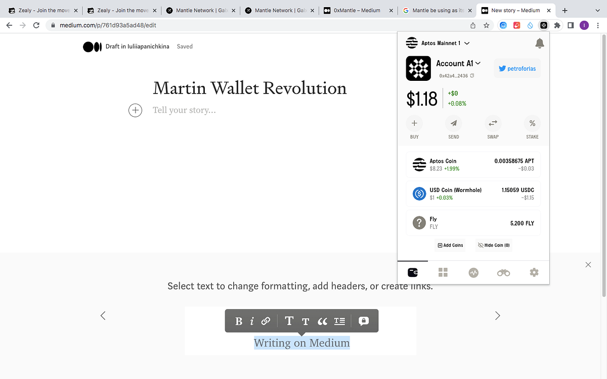 Martin Wallet Revolution - Iuliiapanichkina - Medium