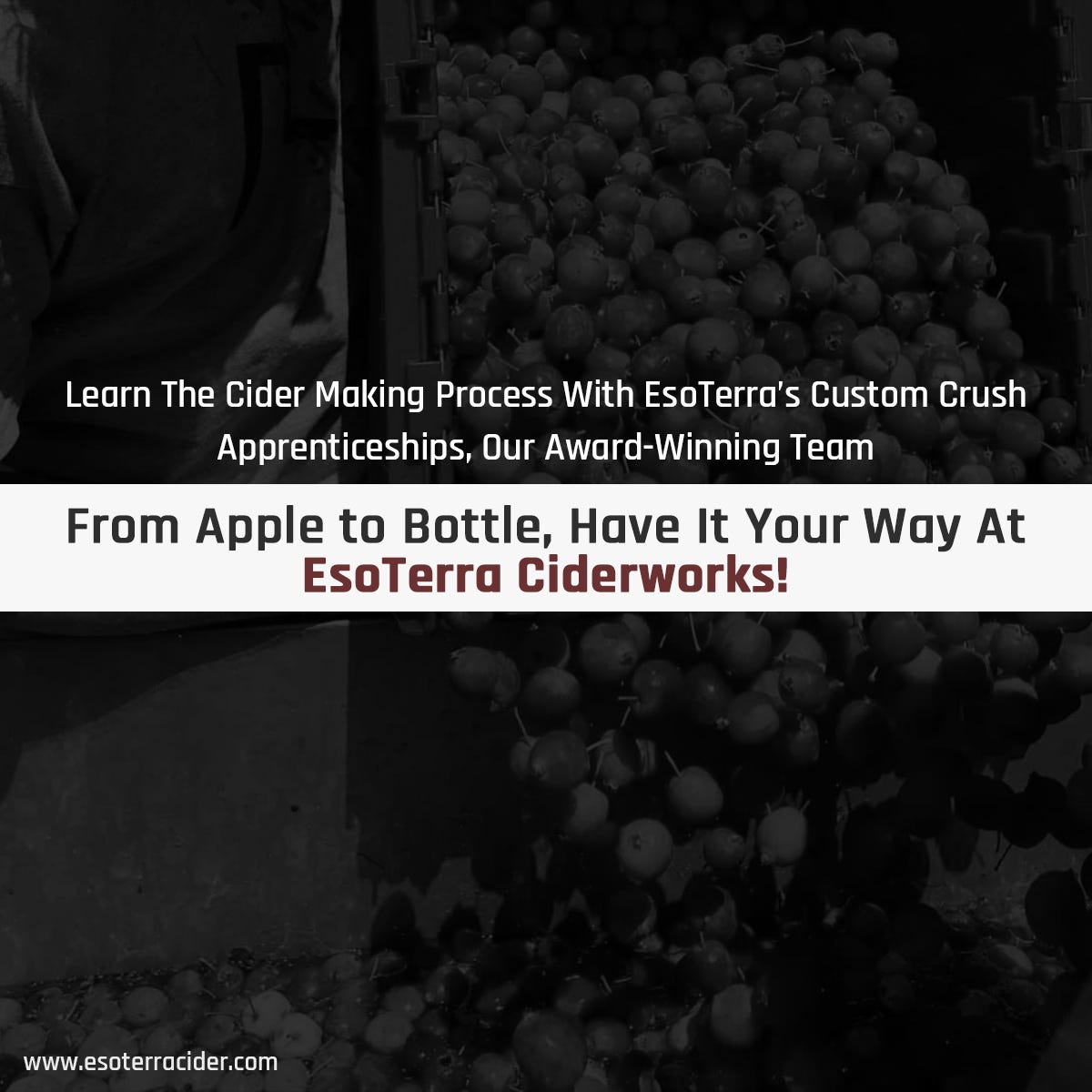 Learn The Cider Making Process With EsoTerra’s Custom Crush ...
