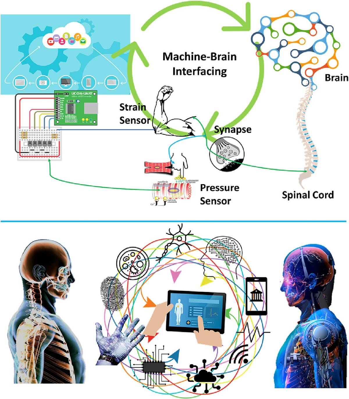 Unveiling the Future: Exploring the Revolutionary World of Electronic ...
