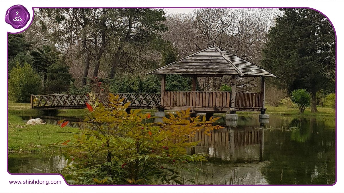 Noshahr. 1. Location and Climate | by Saman Shishdong | Jul, 2024 | Medium