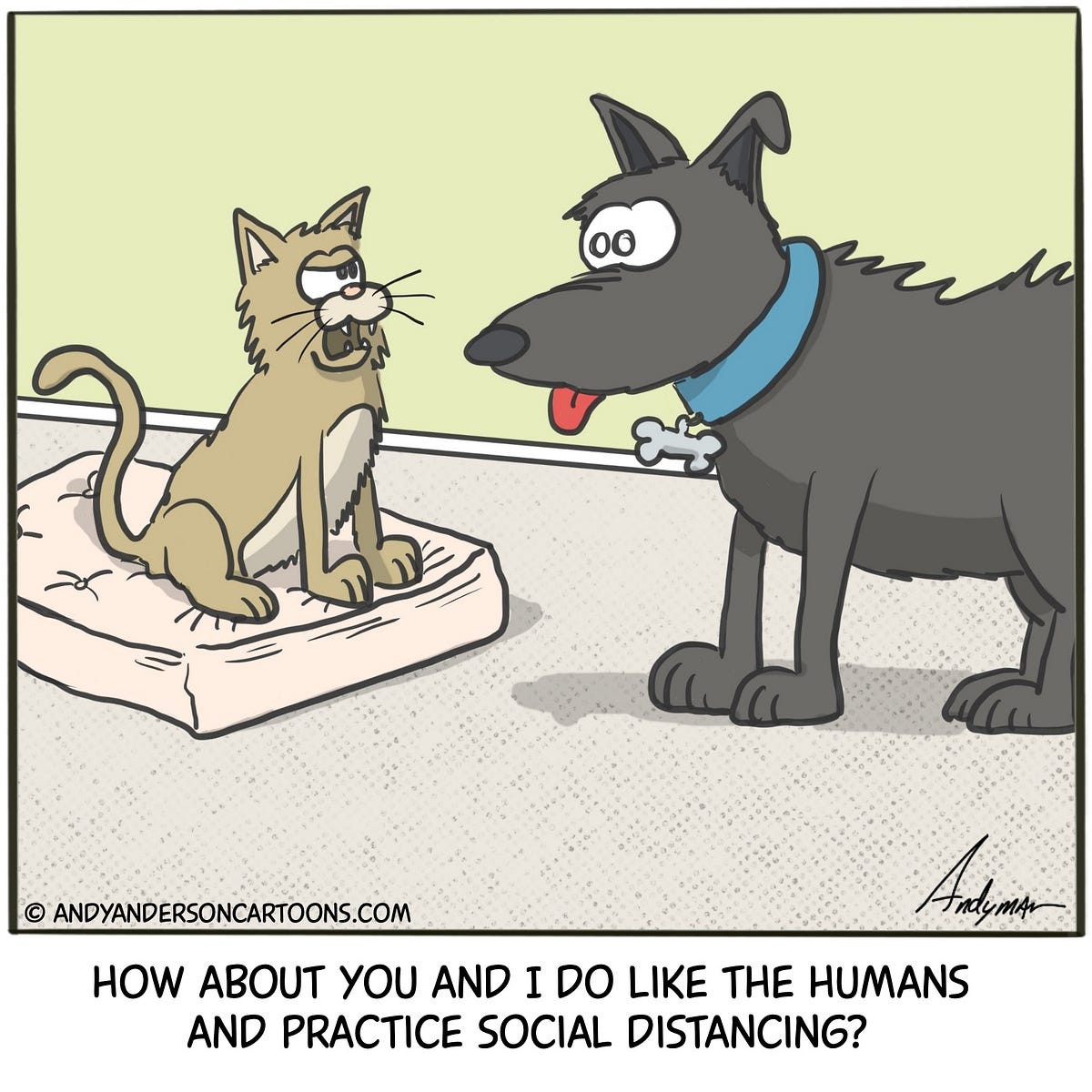 Talk about being catty…. If this cartoon made you laugh, share… | by ...