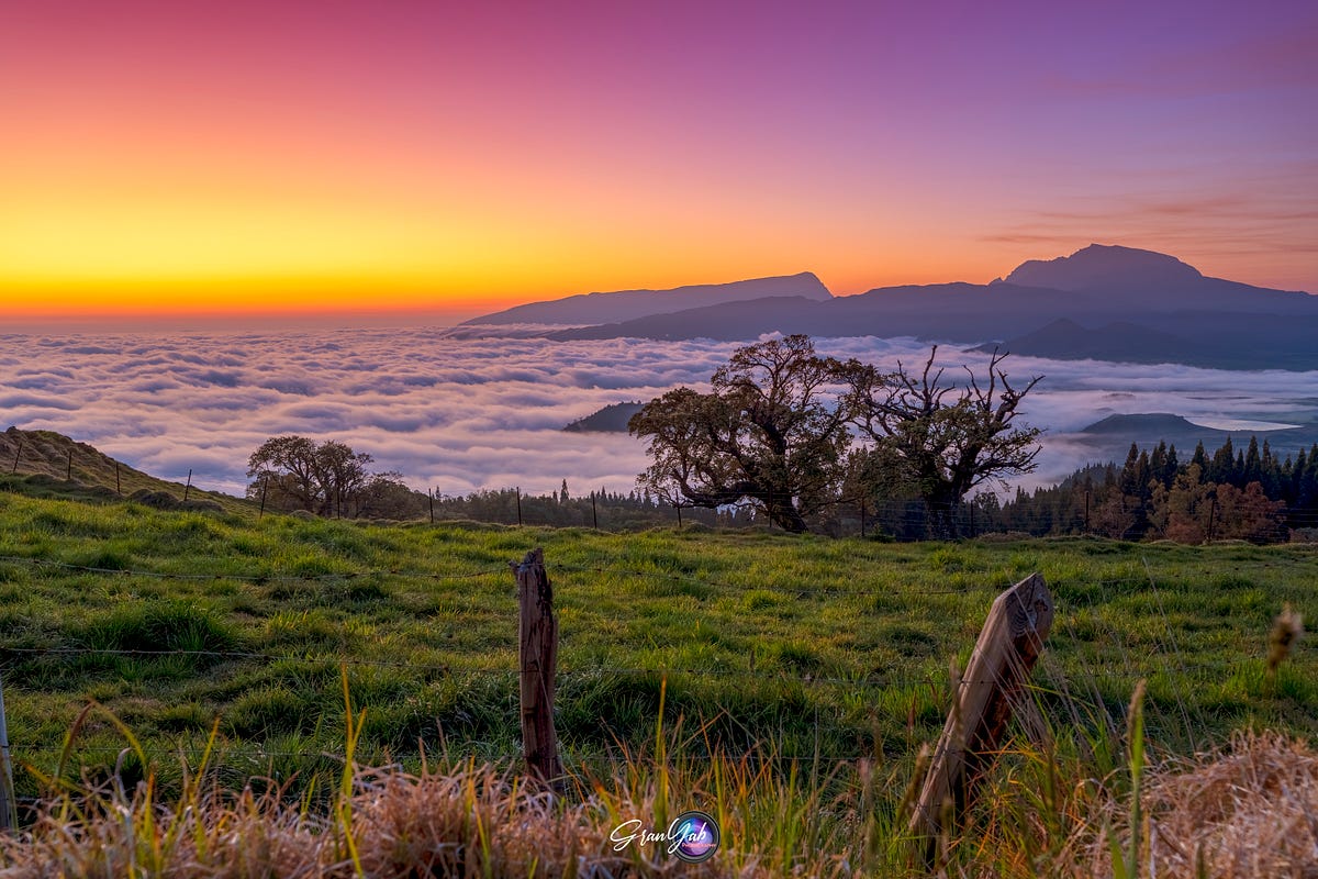 What paradise haven’t you visited yet? | by Bègue Laurent | Medium