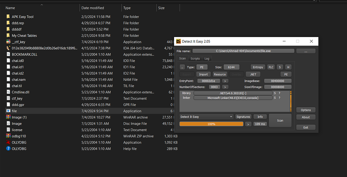 Write up CTF — SPCS Pizza-Reverse Challenge | by Ahmad Husban | Medium
