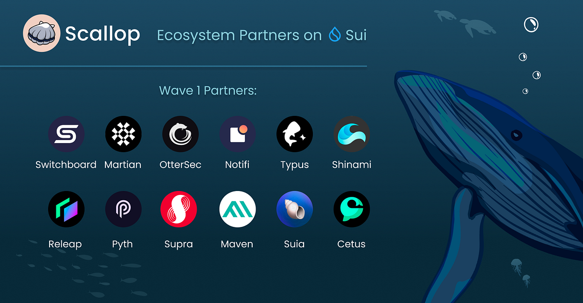 Scallop Sui Ecosystem Partners Wave #1 | by Kriss | Scallop | Medium
