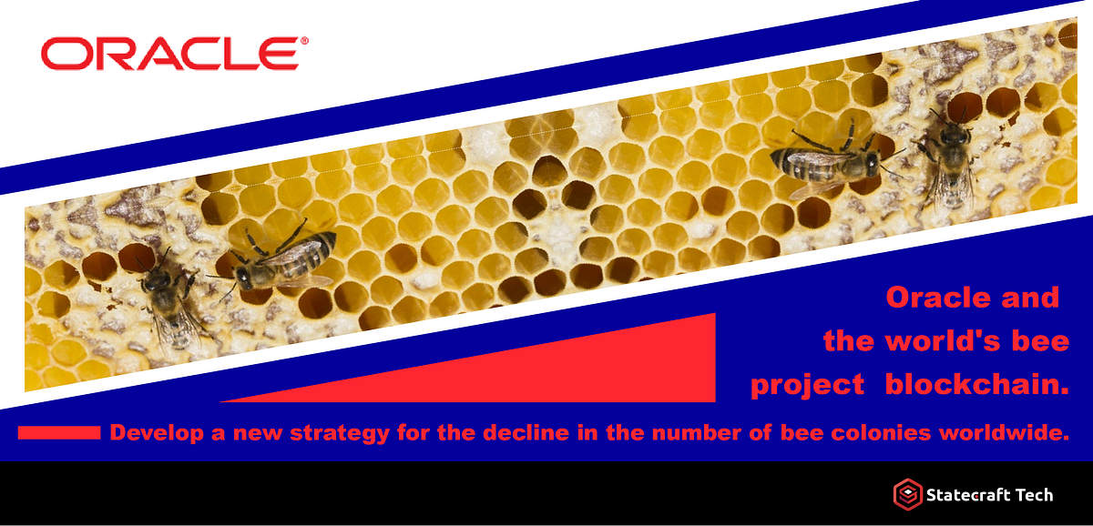 Oracle And World Bee Project To Track Honey Sustainability On Blockchain By Statecraft Tech
