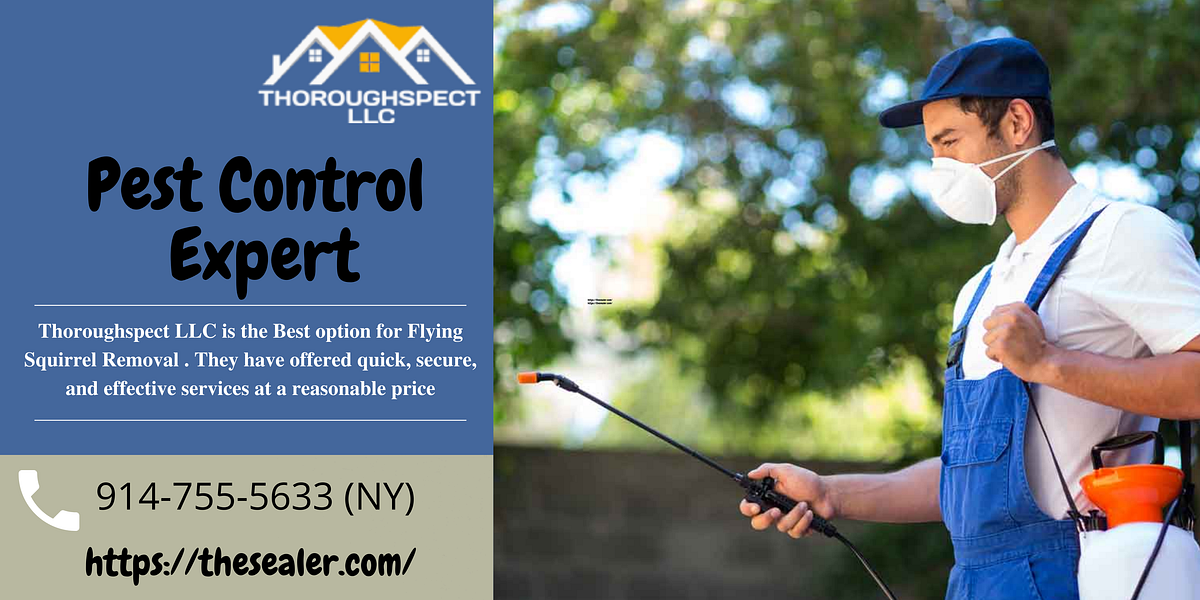 Mice Inspection -Thoroughspect LLC The most common pest you will find ...