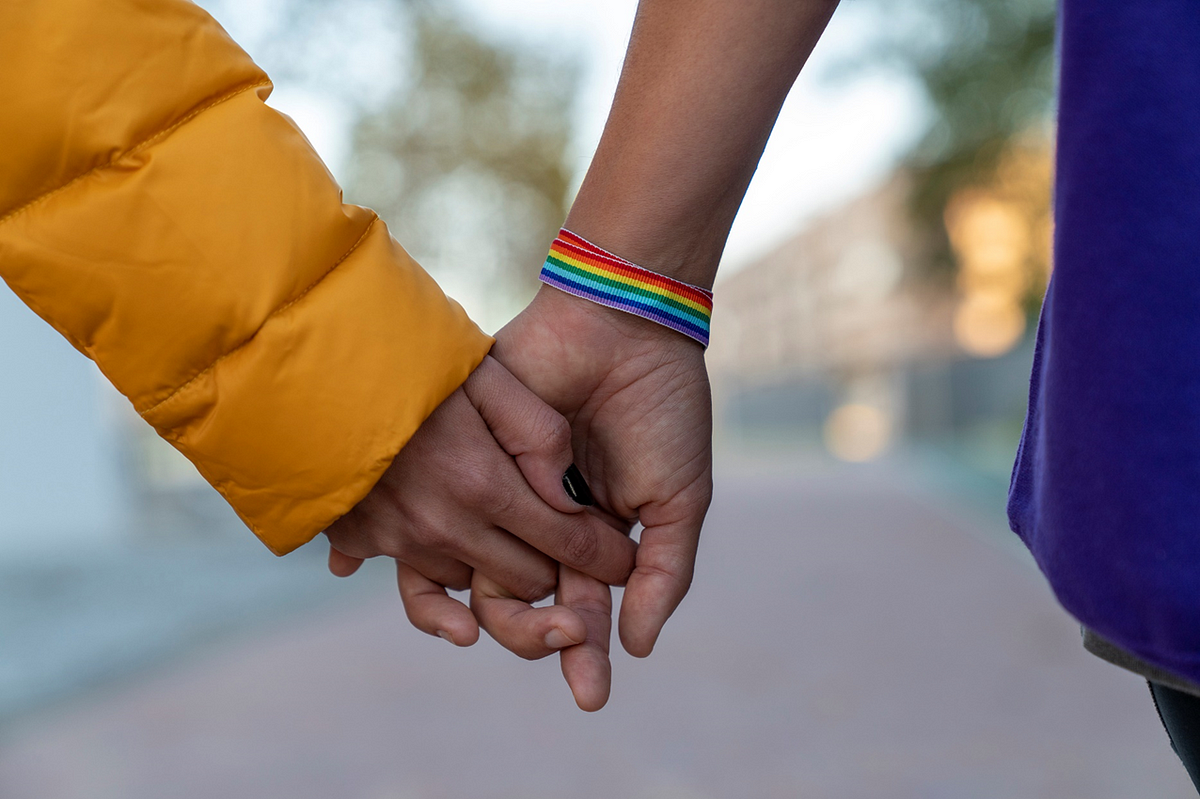Lesbian And Bisexual Women Experiences Activities And Attitudes Towards