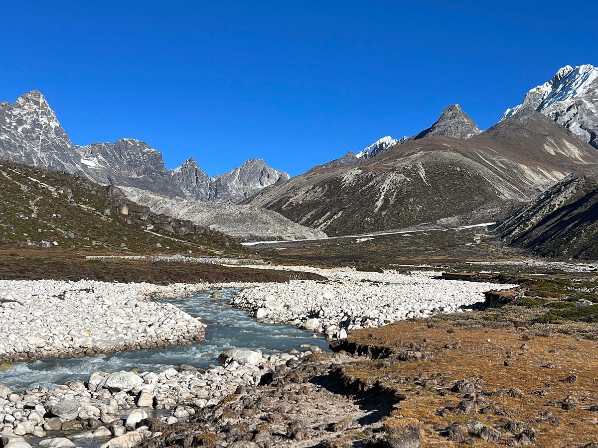 THE MOUNTAIN AHEAD. Two steps forward, one back | by Pravin Shekar ...