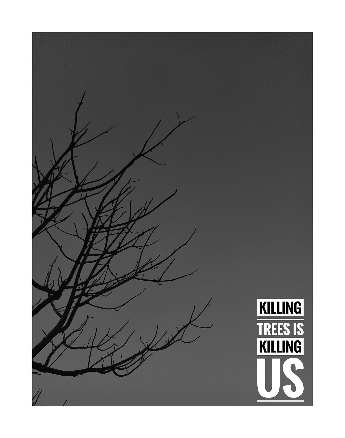 Save Trees..🌱🌿 | by Ankit Netha | Medium
