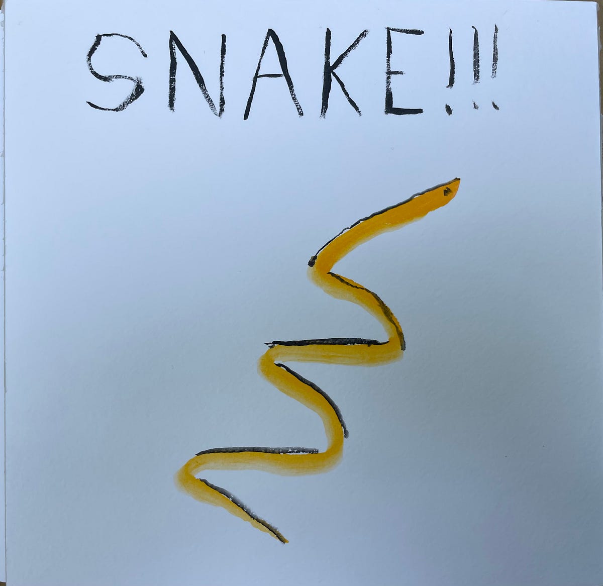 Haiku 2023–231. snake on the bike path | by C.L. Boss | The Haiku ...