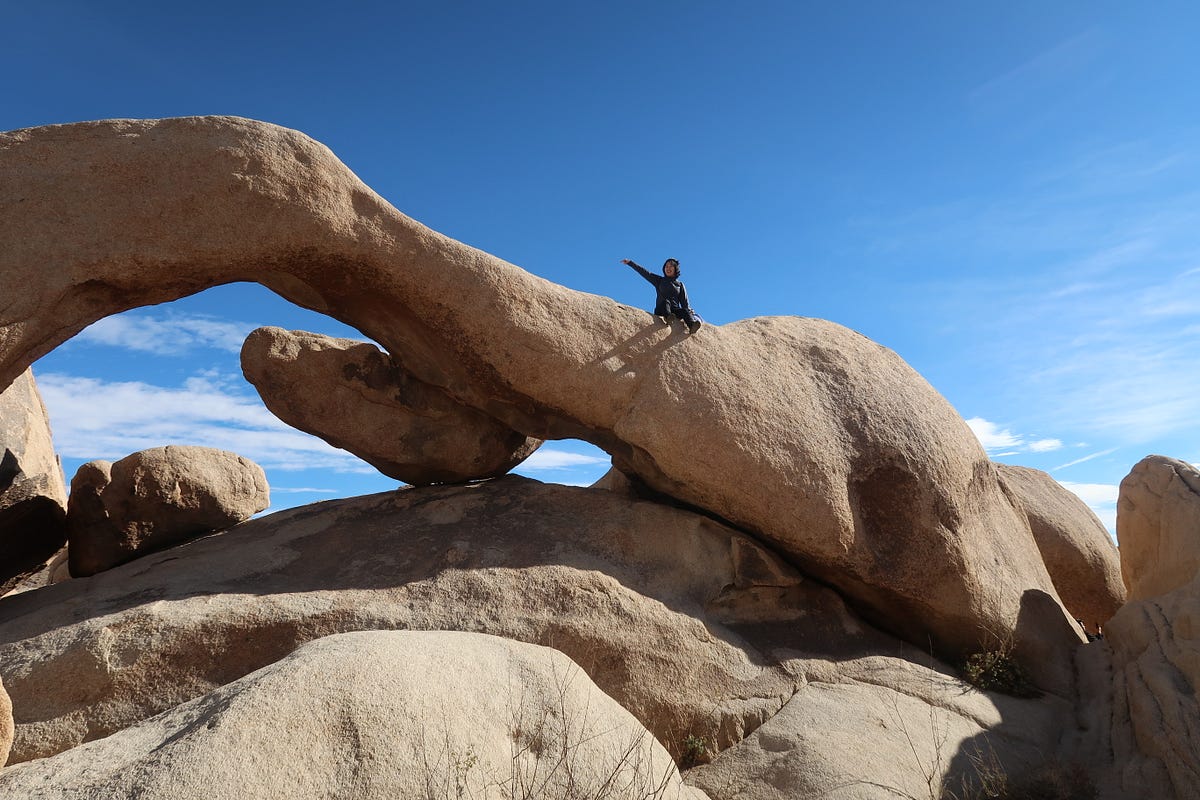 Travel Bug — Joshua Tree, California December 2022 | by Maggnolia Tree ...