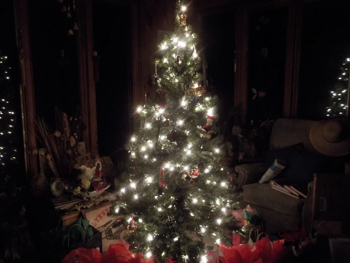 A Forest of Christmas Trees - Weeds & Wildflowers - Medium