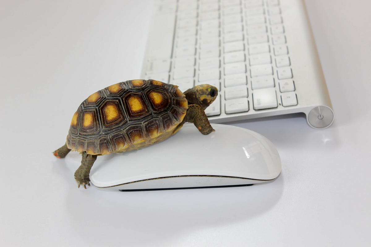 In Defense of “Python is Slow”. Yes, Python might be slow, but we still ...