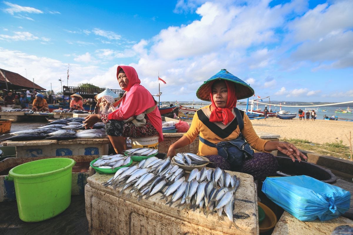 Expanding into Indonesia’s Informal Economies with Innovative Credit ...