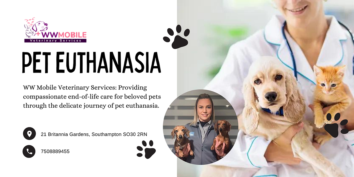 Exploring Pet Euthanasia Options | WW Mobile Veterinary Services | by ...