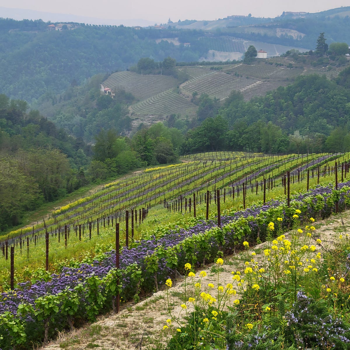 Lessons from the “Detroit” of Italy | by G.P. Gottlieb | Globetrotters ...