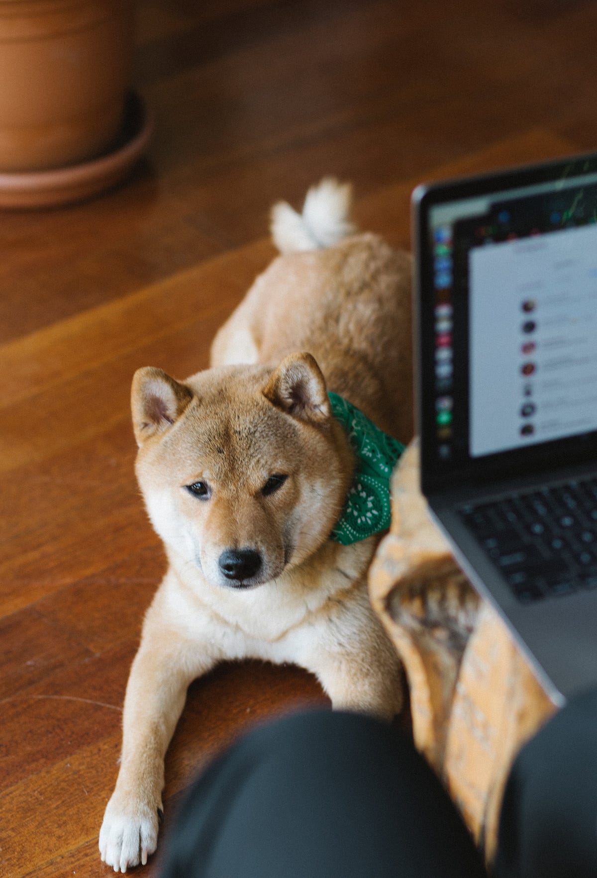 This is What Happened After I Sold 100 Million Shiba Inu Cryptocurrency ...