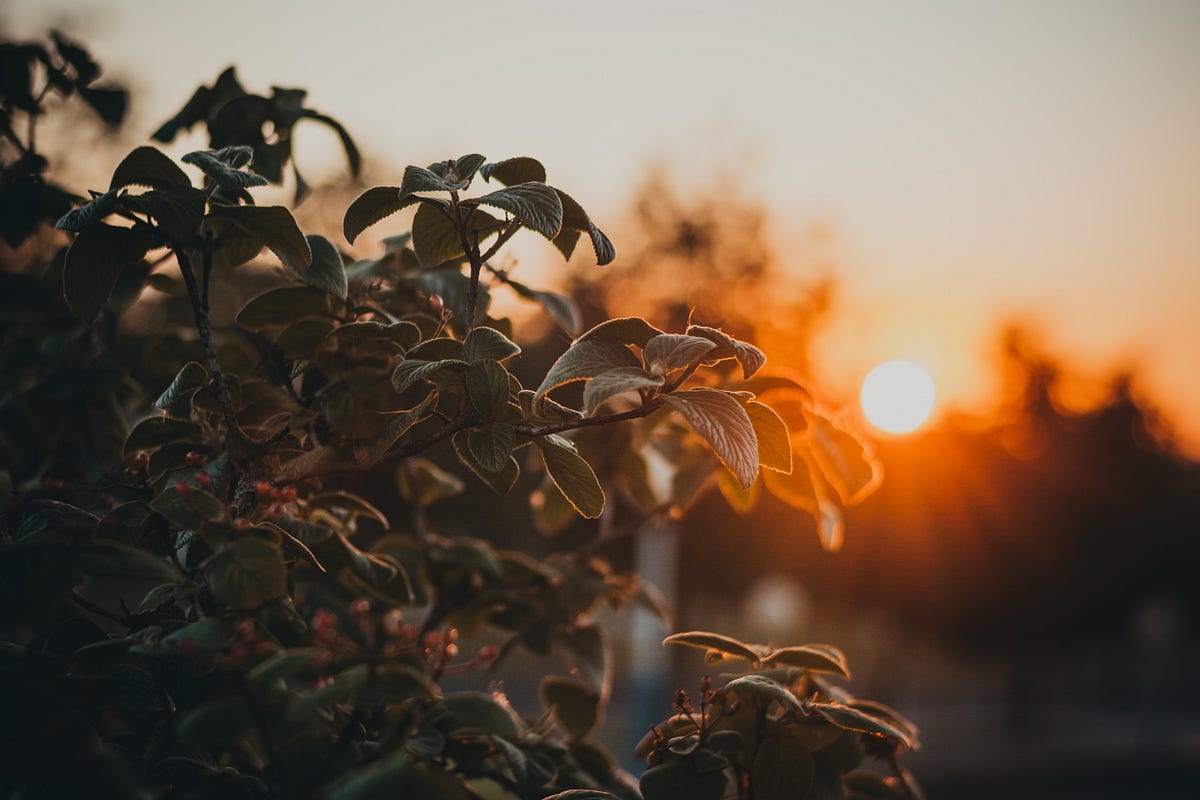 Start Your Day Right: A Refreshing Morning Routine | by Romasa Aslam ...