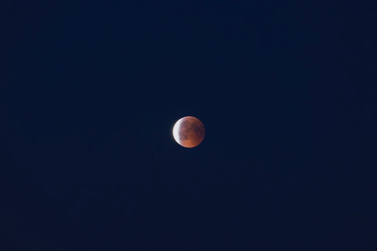 Lunar Eclipse. A Poem offered for the November 30… | by Michelle Berry ...