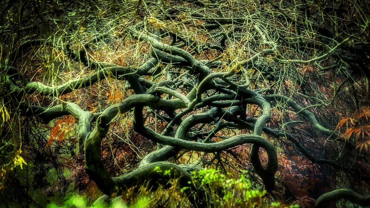 Branching into Life - Write Under the Moon - Medium