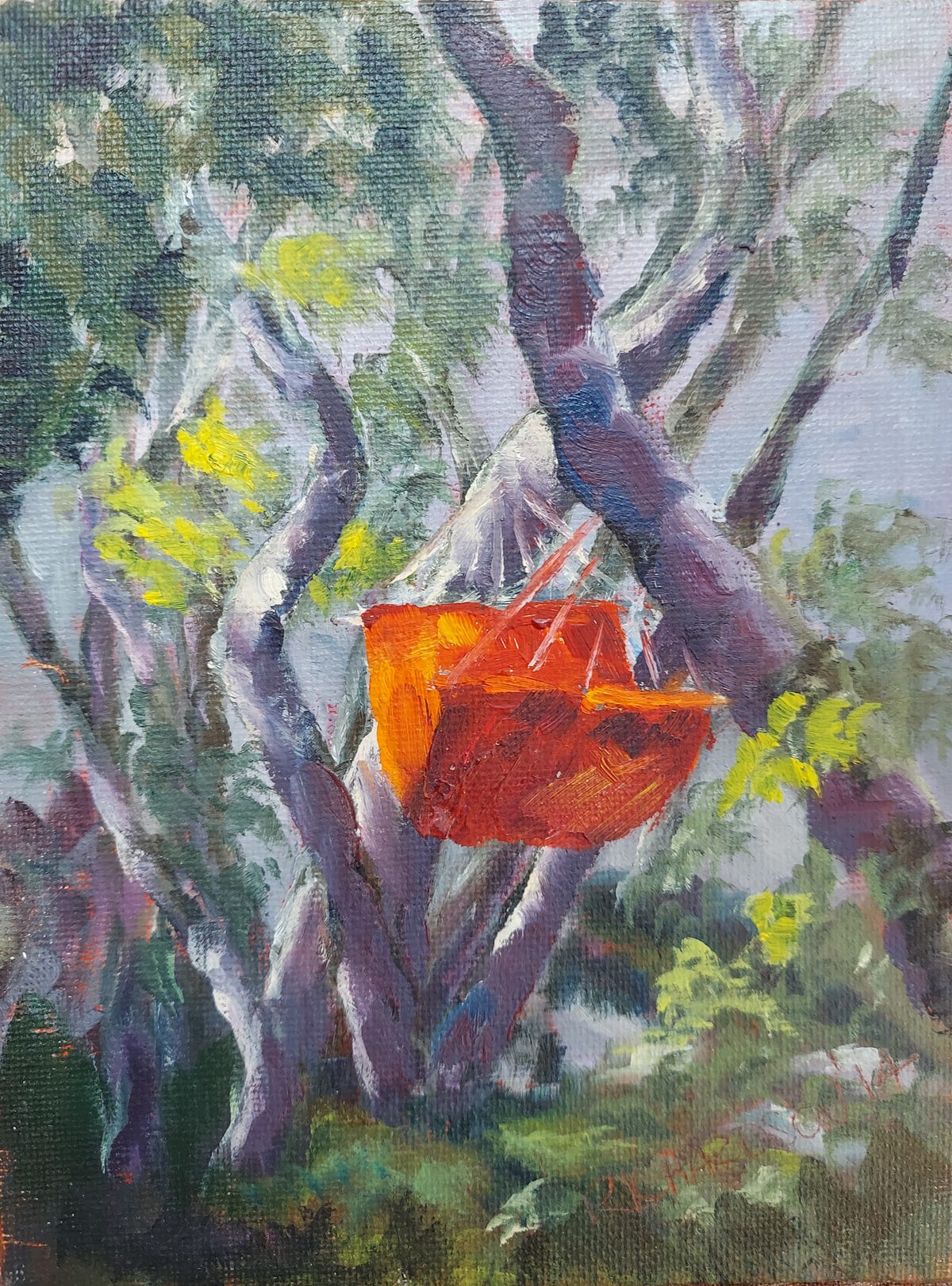 Red Hammock Between Two Trees. A Poem | by Jennifer Cowie King | HEART ...