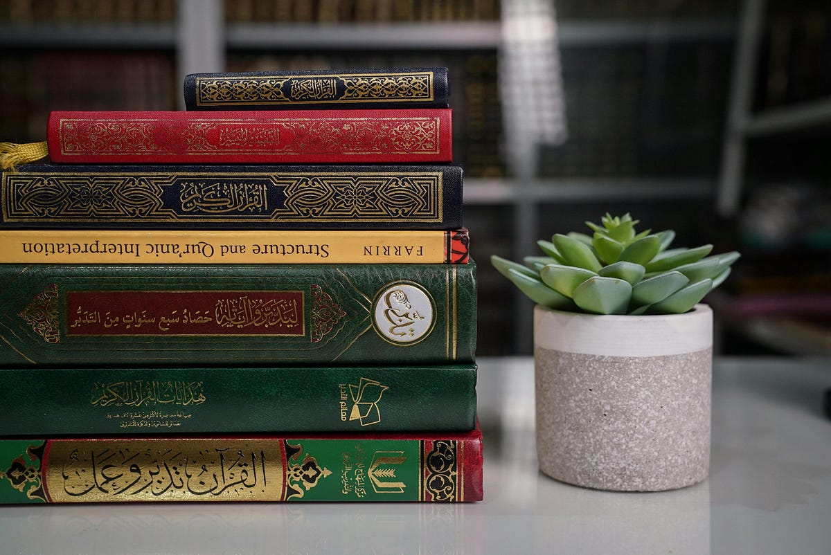 Books as Mirrors | by Amelia Phoenix Desertsong | Jun, 2024 | Medium