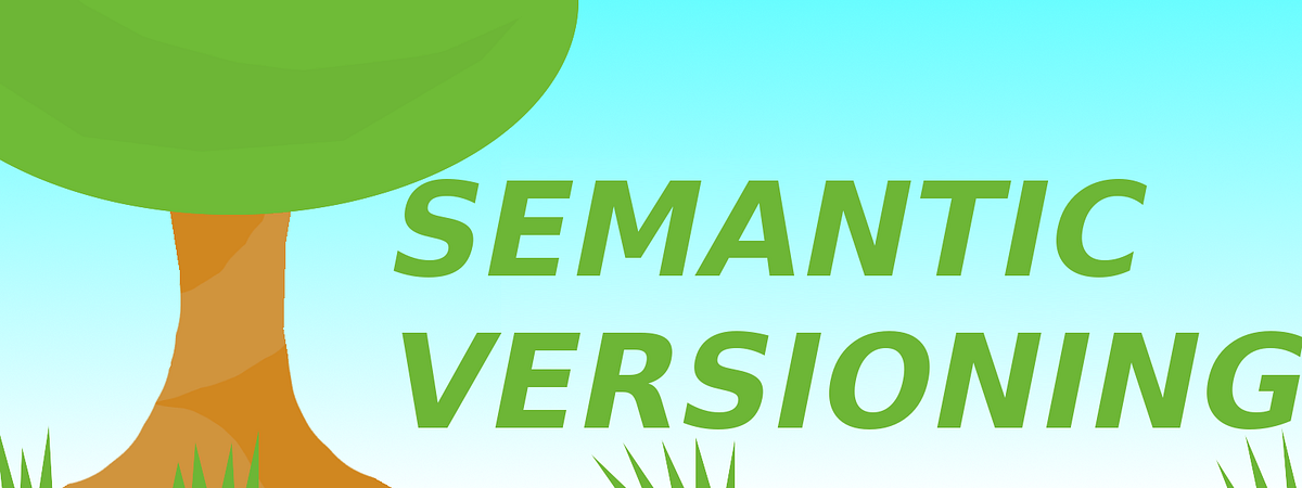 On The Road To Professional Web Development | Semantic Versioning | by ...