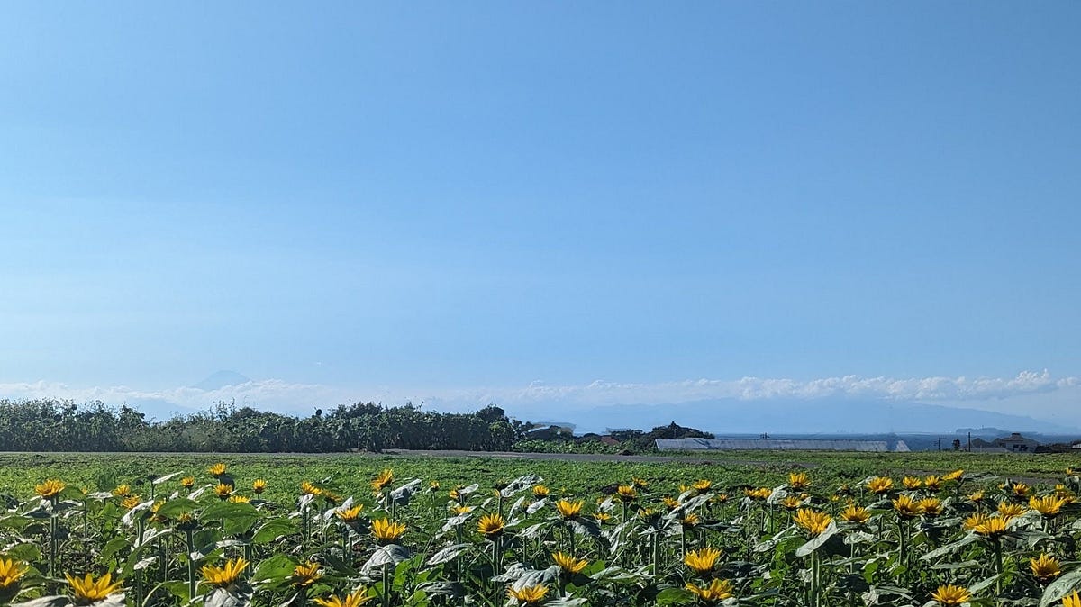 8th Anniversary. So, yesterday marked the 8th… | by Yasuo Takeuchi ...