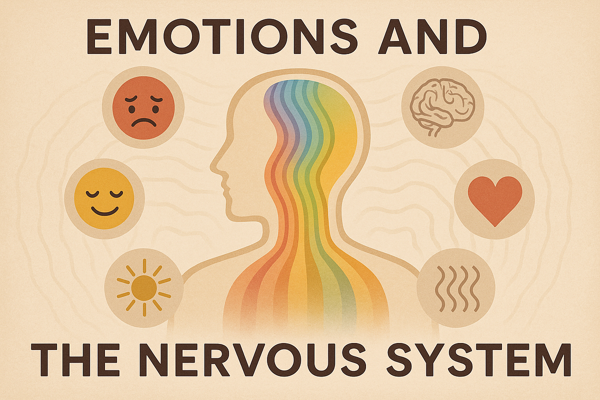grad⭐ The Senses of Emotion: Rediscovering the Language Our Nervous System Forgot | by Crystal ...