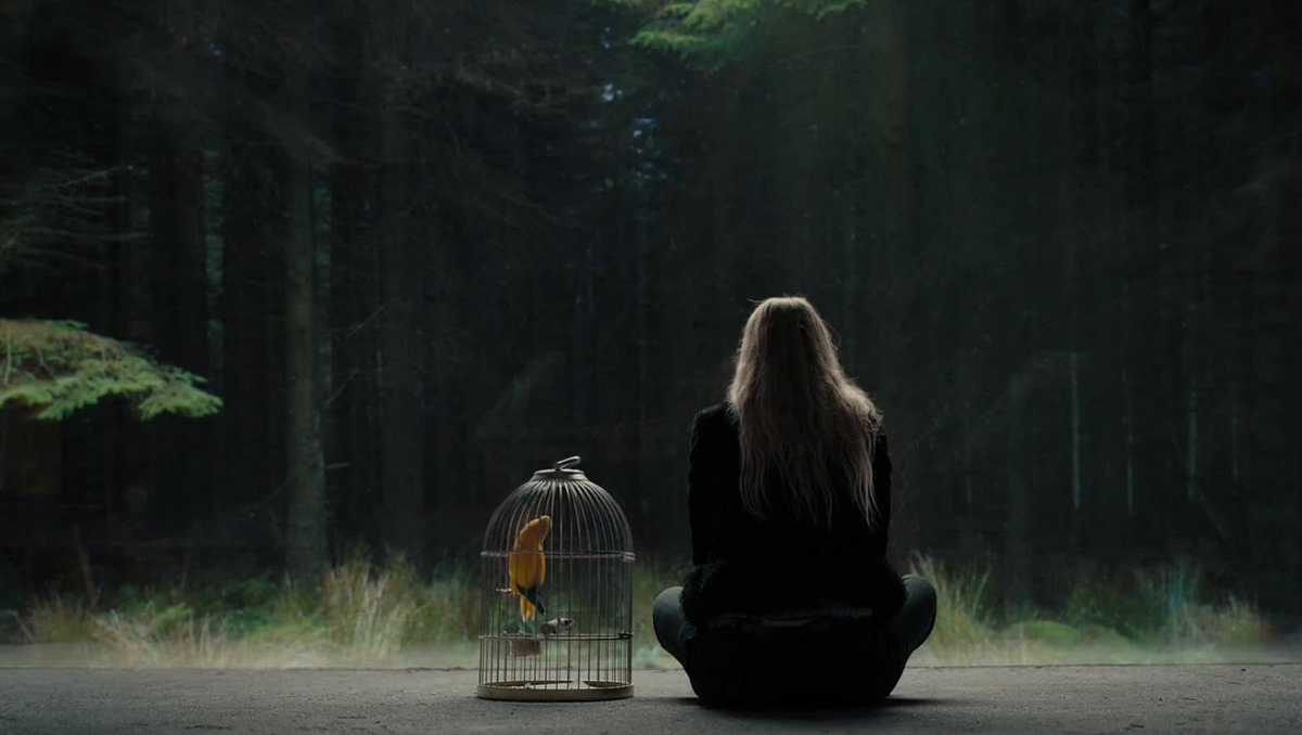 The Watchers (2024) — Film Review | by Evan | Story Lamp Reviews | Medium