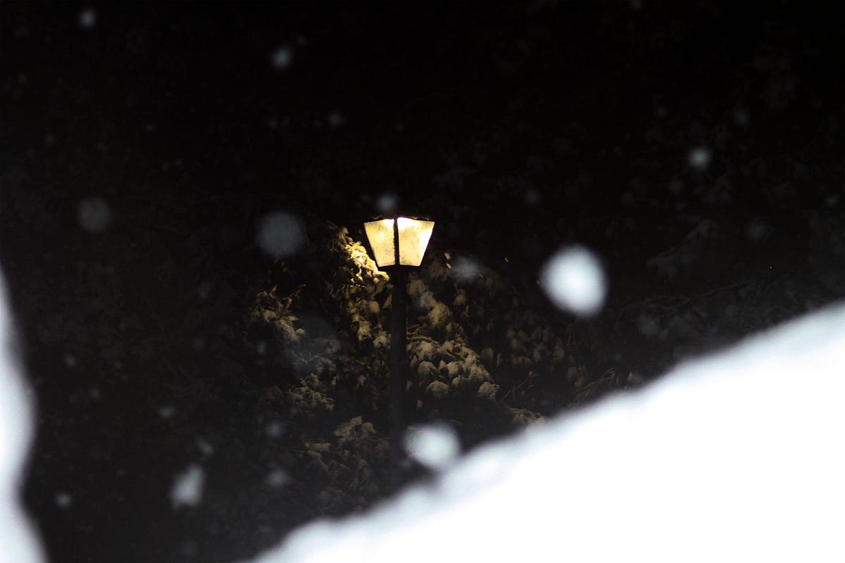 Not Typical Plato. Through reading “In Platos Cave” by… | by Thomas Crouse | Medium