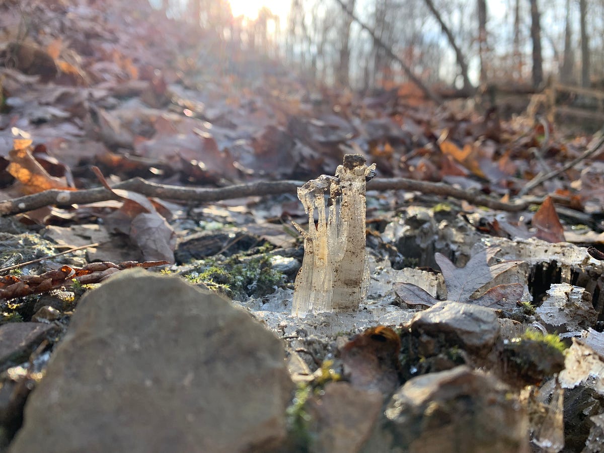 Inheritance. A poem of generational trauma | by Skye Nicholson ...