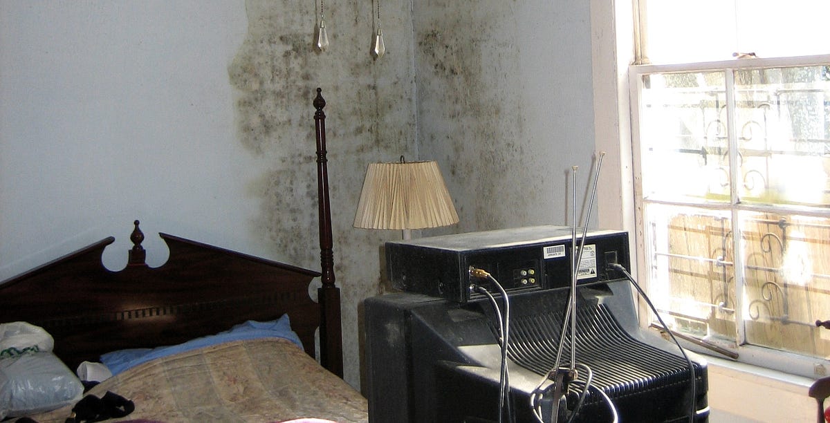 What Causes Condensation and Damp in Houses? | by Eugene Brennan | Home ...