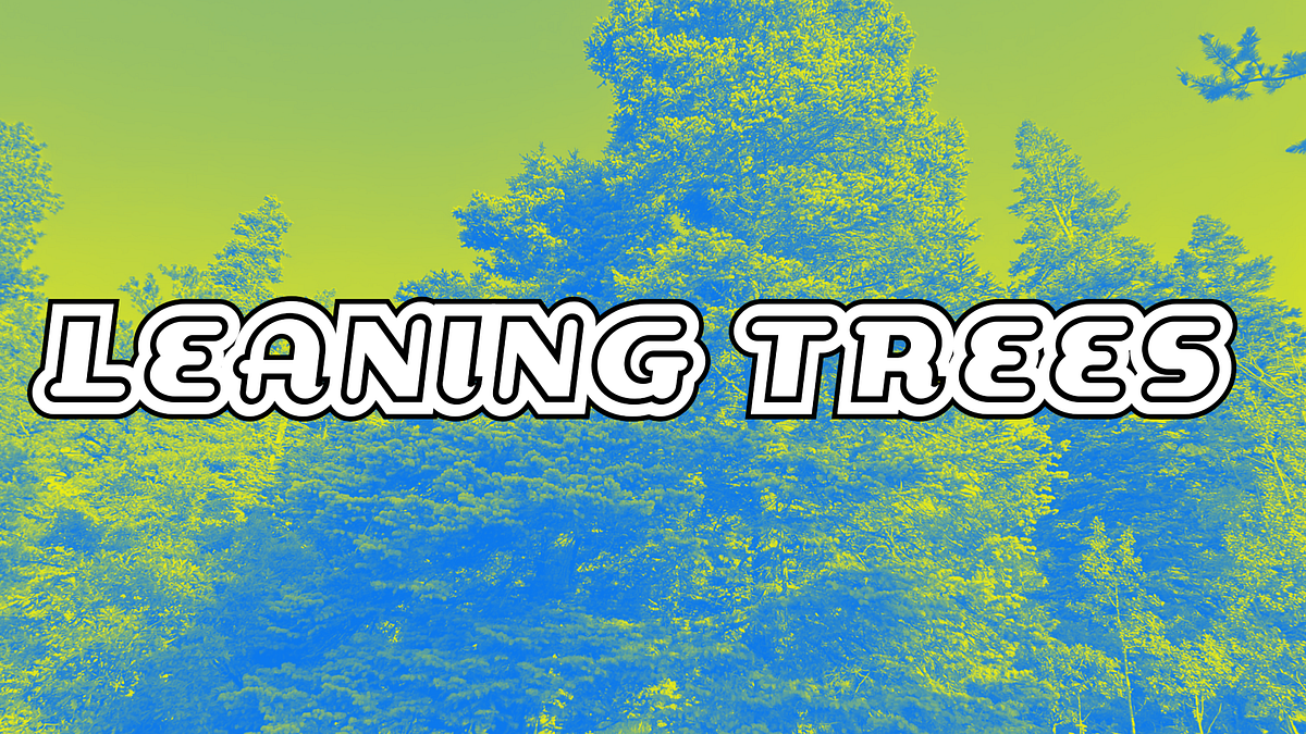 Leaning Trees. On the first night I camped in… | by Leon Bloder | Aug ...
