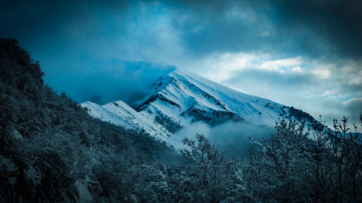 Human Hibernation. A story about how to hibernate well. | by Dux Prana ...