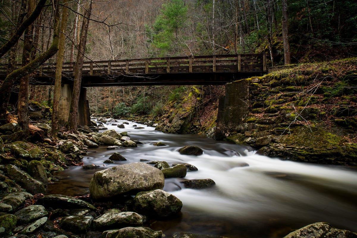 A Quick Introduction Into Stream Graphs with Python | by Cole Hagen | Towards Data Science