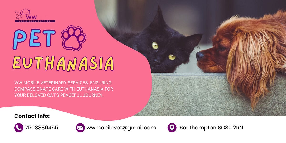 Gentle Goodbyes: Embracing Pet Euthanasia with Compassion | by WW ...
