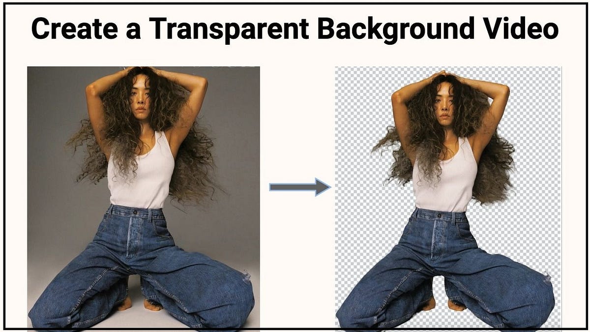 The Best Two Techniques for Making Transparent Background Videos | by ...