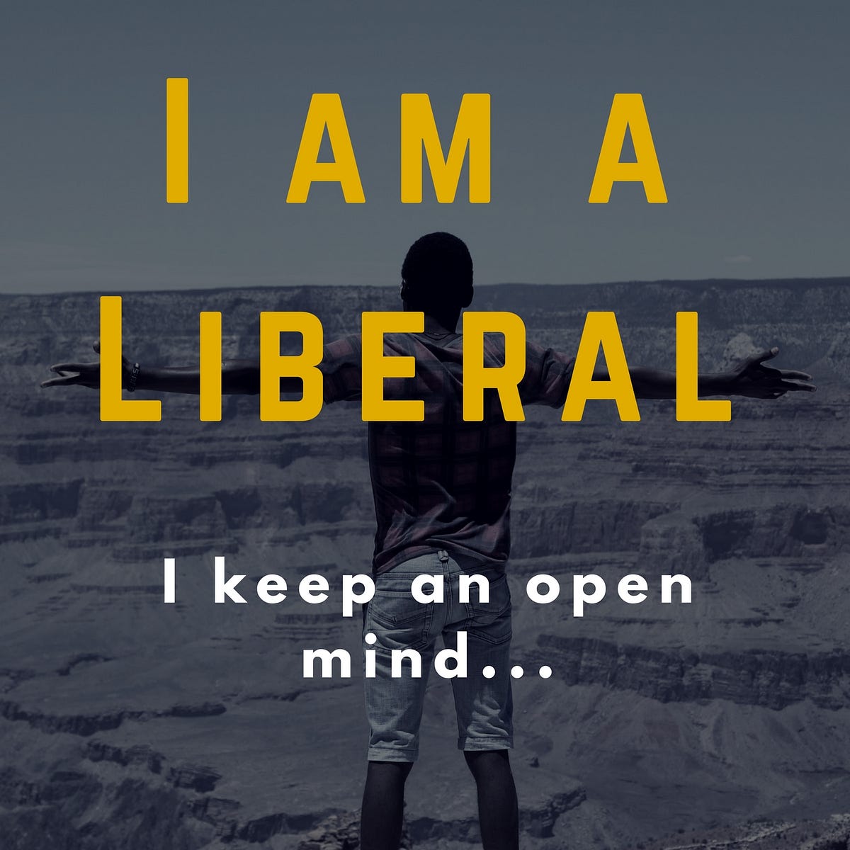I am liberal and here’s what that means. | by Sihle Magagula | Medium