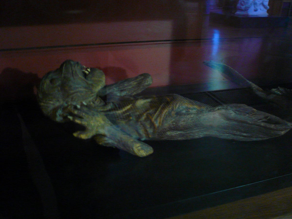 Creepy “mermaid mummy” found in Japan. Scientists finally know what it ...