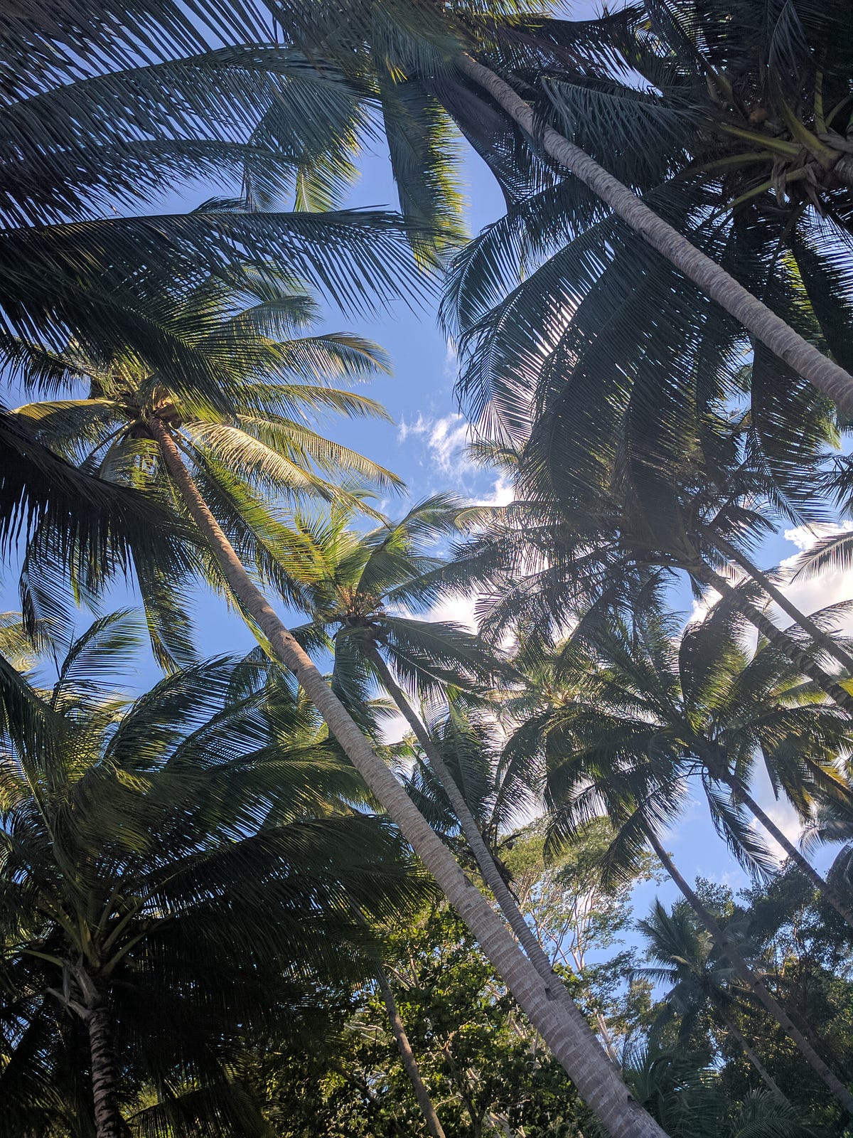 Chris goes Pinoy. Port Barton | by Joanna Tan | Medium