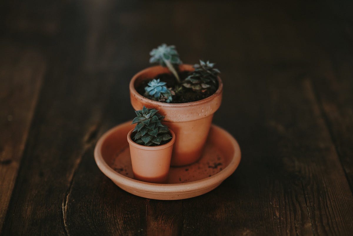 Managing Forms And Input Fields In Reactjs By Arbaz Ajaz Nerd For
