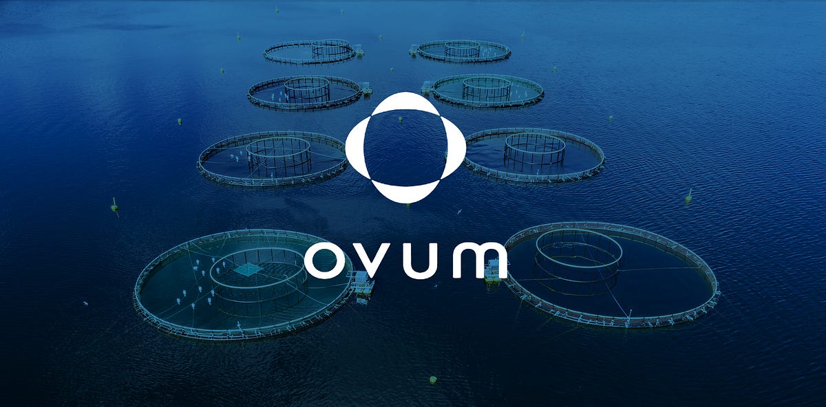 Are you keen on tracking innovation in aquaculture? Check OVUM | by ...
