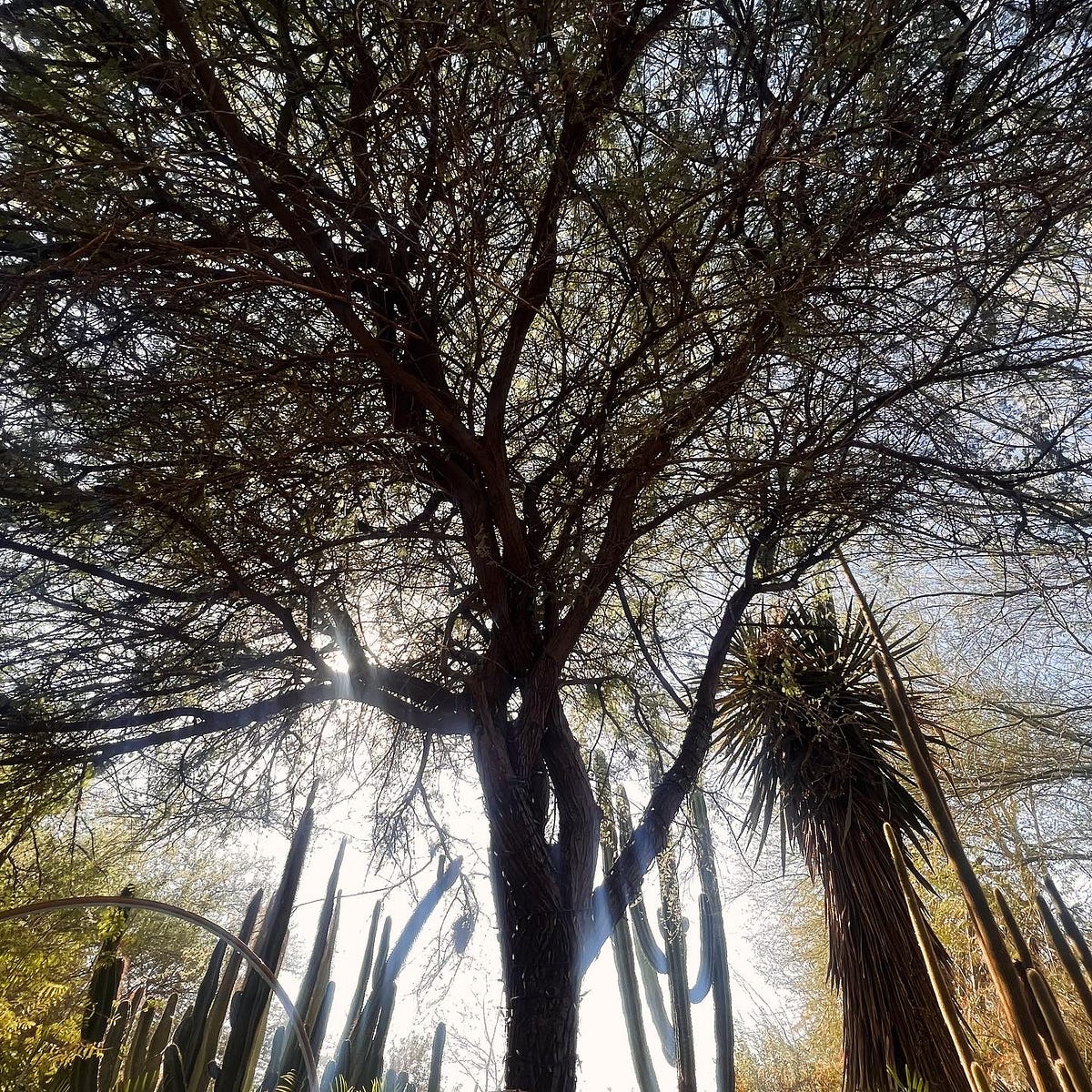 Defeating the Illusion of Self-Comparison | by Annika Chudzik | Mar ...