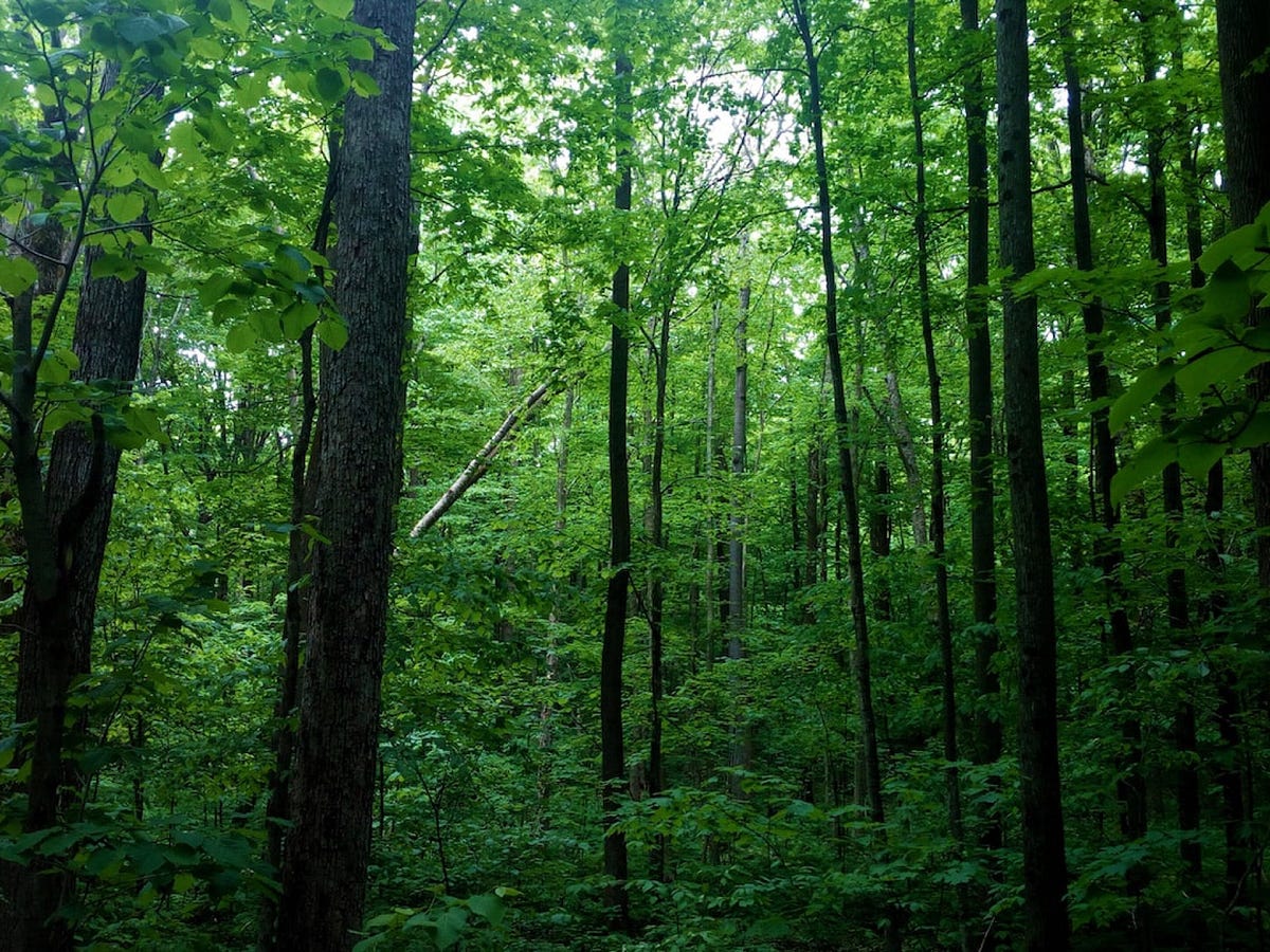 Getting the Last Word III: Part 10/25 | by Michael M-C | Medium