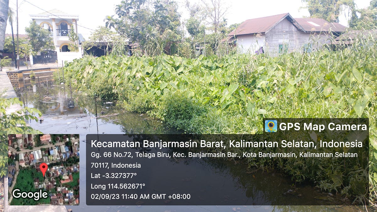 Manfaat Lahan Basah di Wilayah Banjarmasin Barat | by Nadia Rafi'ah ...