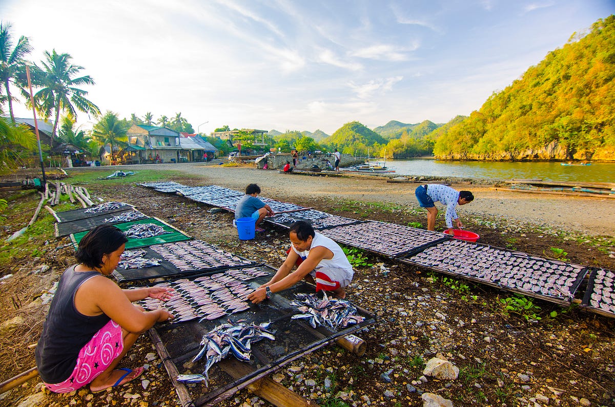 Turning to Science to Build Consensus | by USAID Biodiversity ...