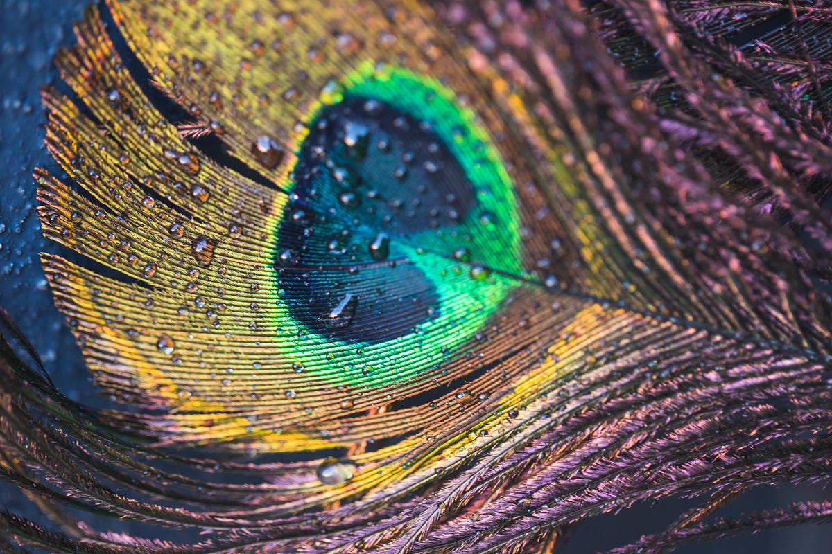 Maven In Depth Creating A Custom Archetype For Spring Boot Project