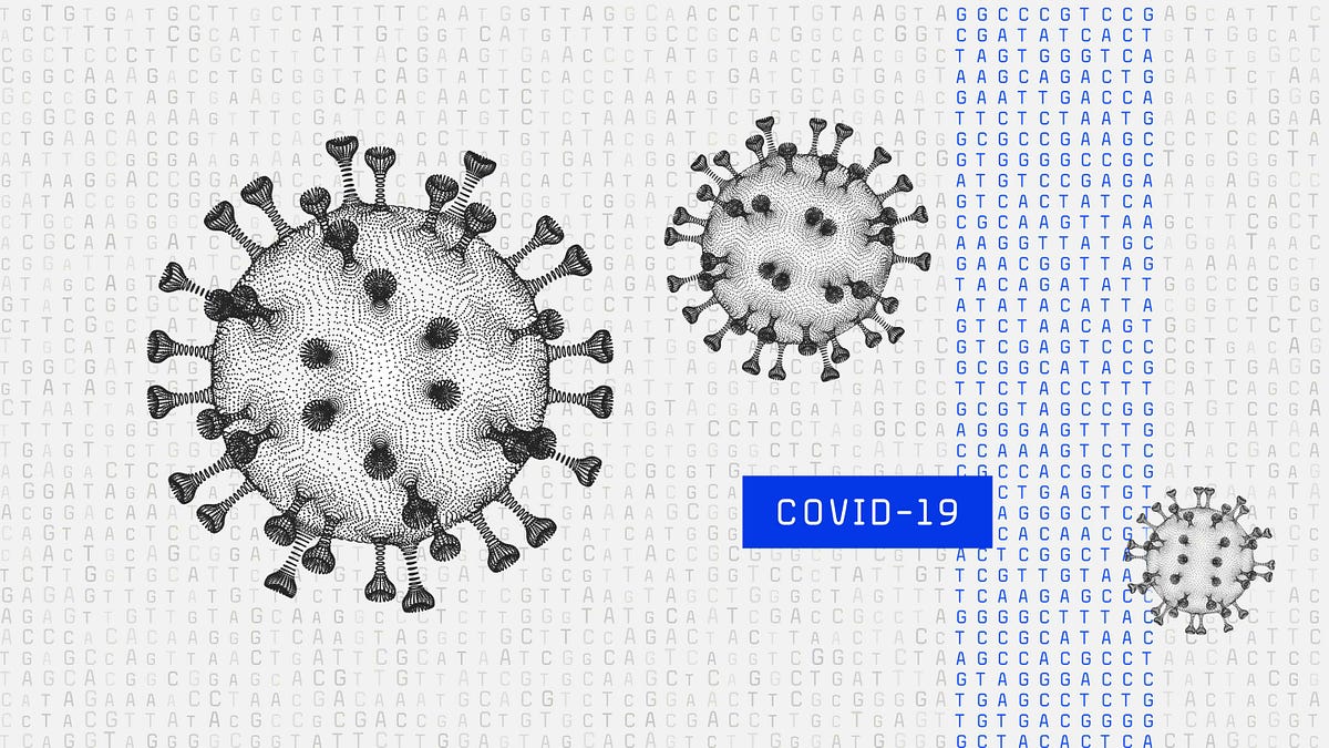 Python Simulation for Effective Covid-19 Strategy | by Sohum I. Fuke ...