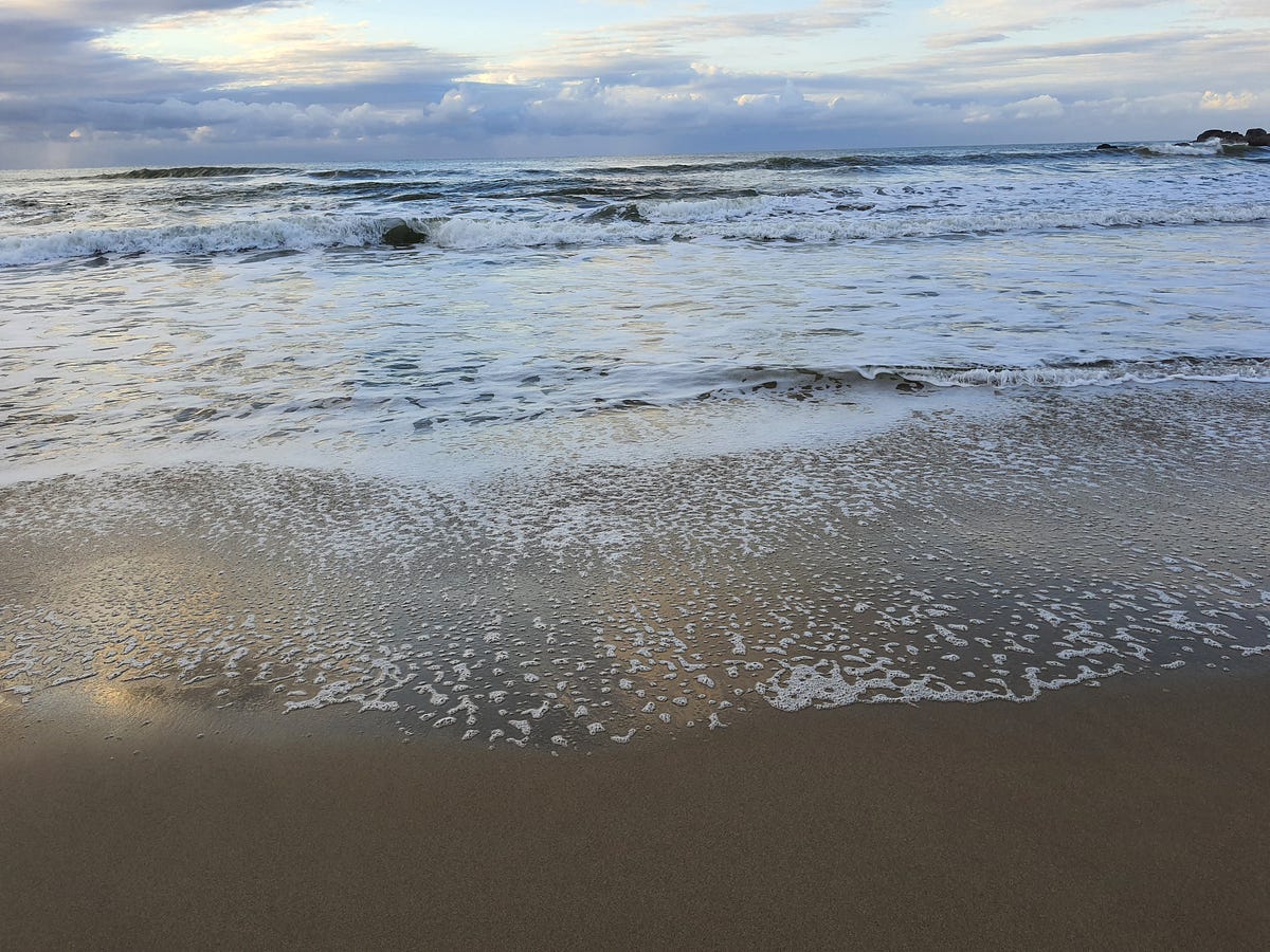 The Scars We Allow to Define Us. We All Carry Scars | by The Write Bug ...